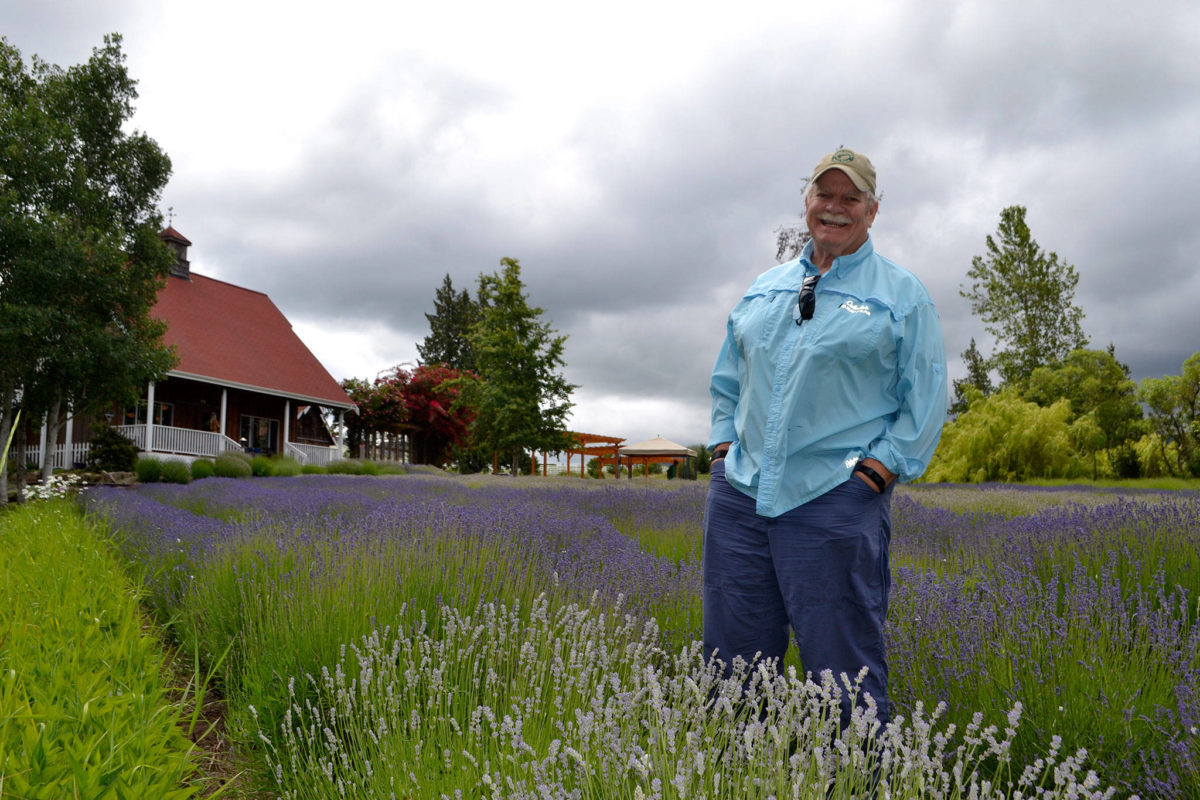 Purple Haze Lavender owner puts farm up for sale, says he’s ready to ...
