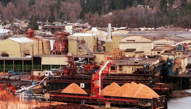 Simpson Lumber says it will close its Shelton area mills; 270 will lose ...