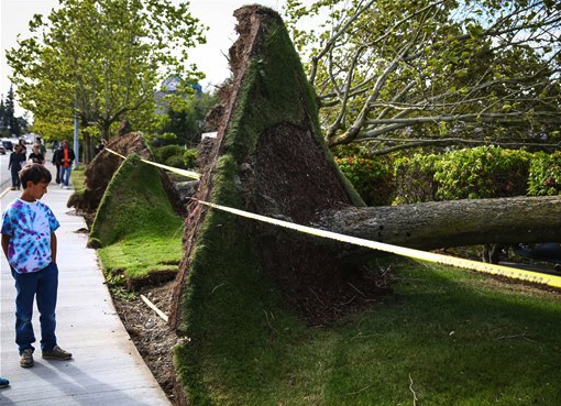 Strong winds blamed for 2 deaths in Seattle area; power outages leave ...