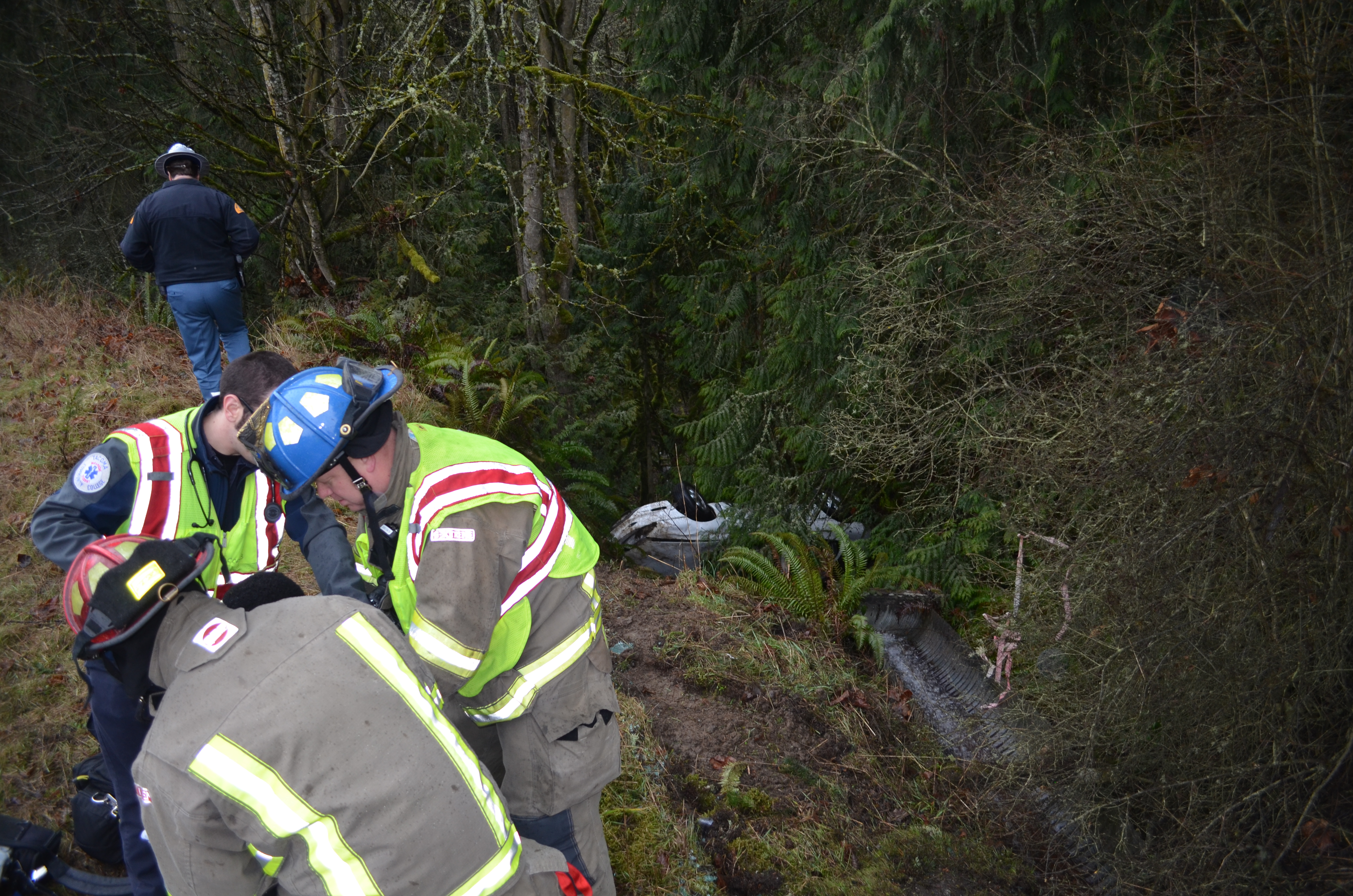 2 hurt when car goes over U.S. Highway 101 embankment in Sequim ...