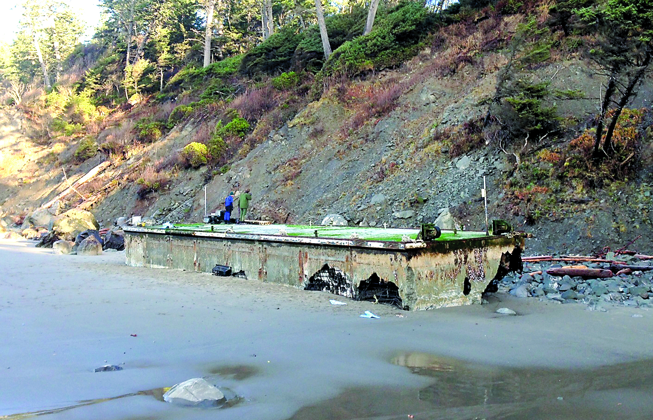 Removal of beached dock from Japanese tsunami set — but depends on ...