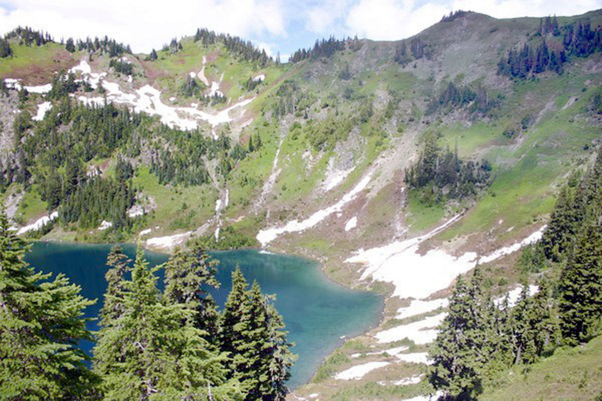 High levels of mercury found in fish at Olympic National Park's Hoh ...