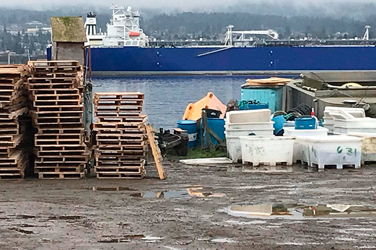 State terminates Cooke’s lease for Port Angeles salmon farm | Peninsula ...