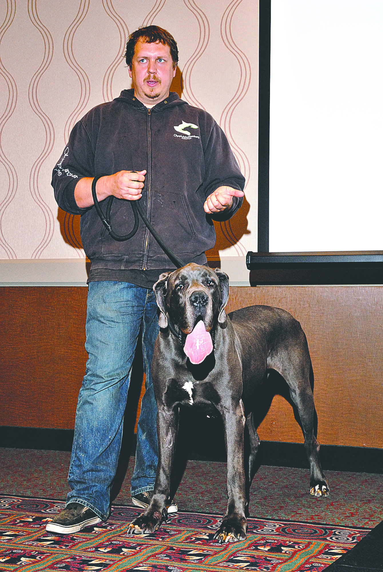 At special sanctuary, even 'bad' dogs have their day | Peninsula Daily News