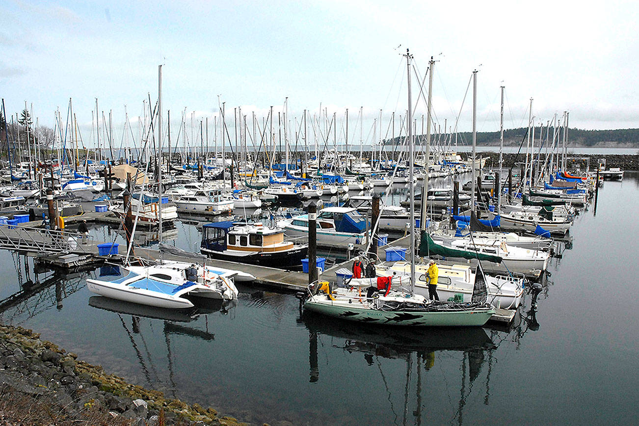 Port officials limit choices for marina: Sale to private developer ...