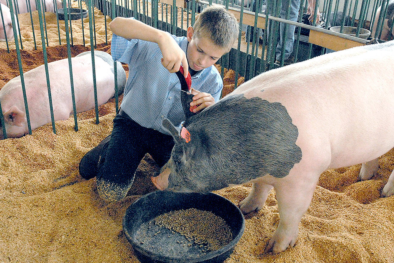 PHOTO: Getting a trim | Peninsula Daily News