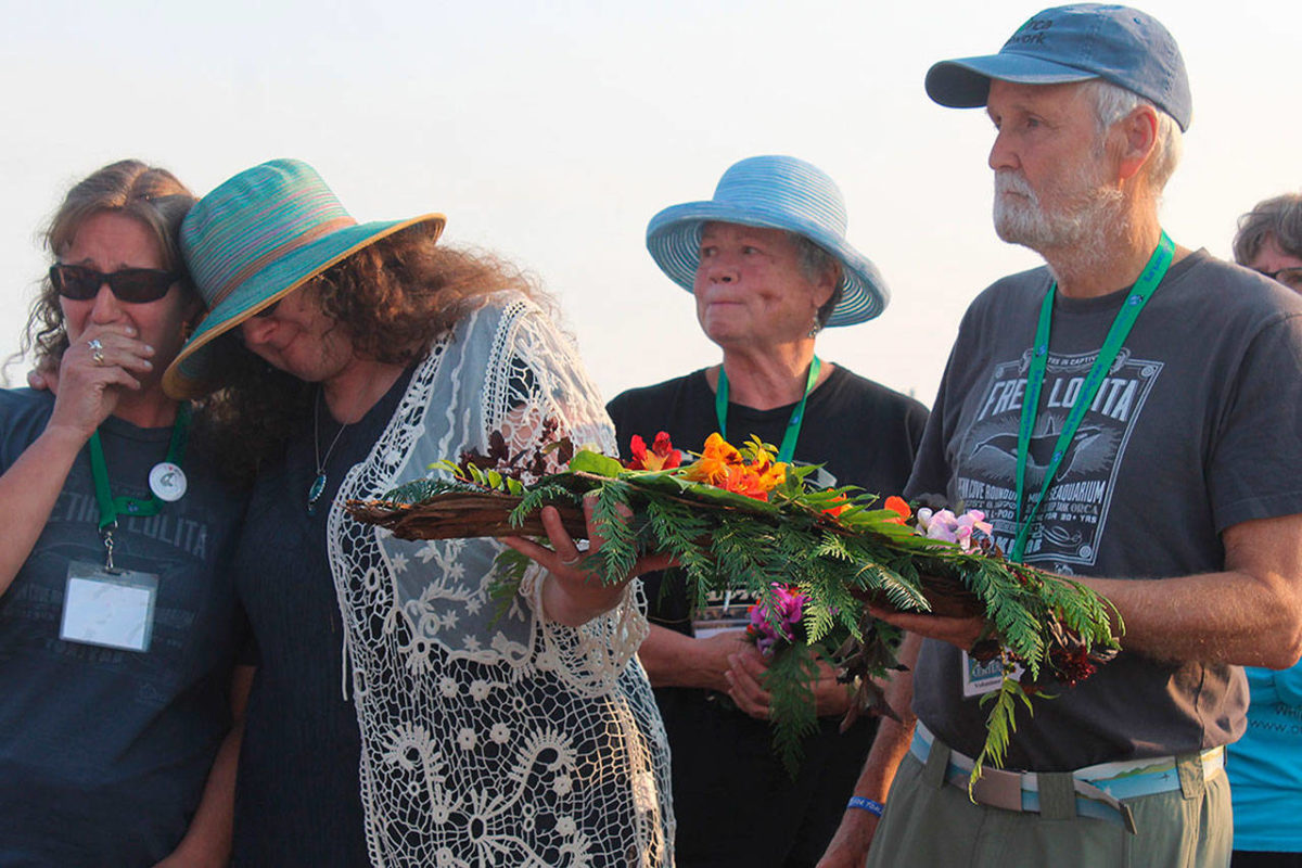 Flowers for Tokitae: Remembering Puget Sound’s captured orcas ...