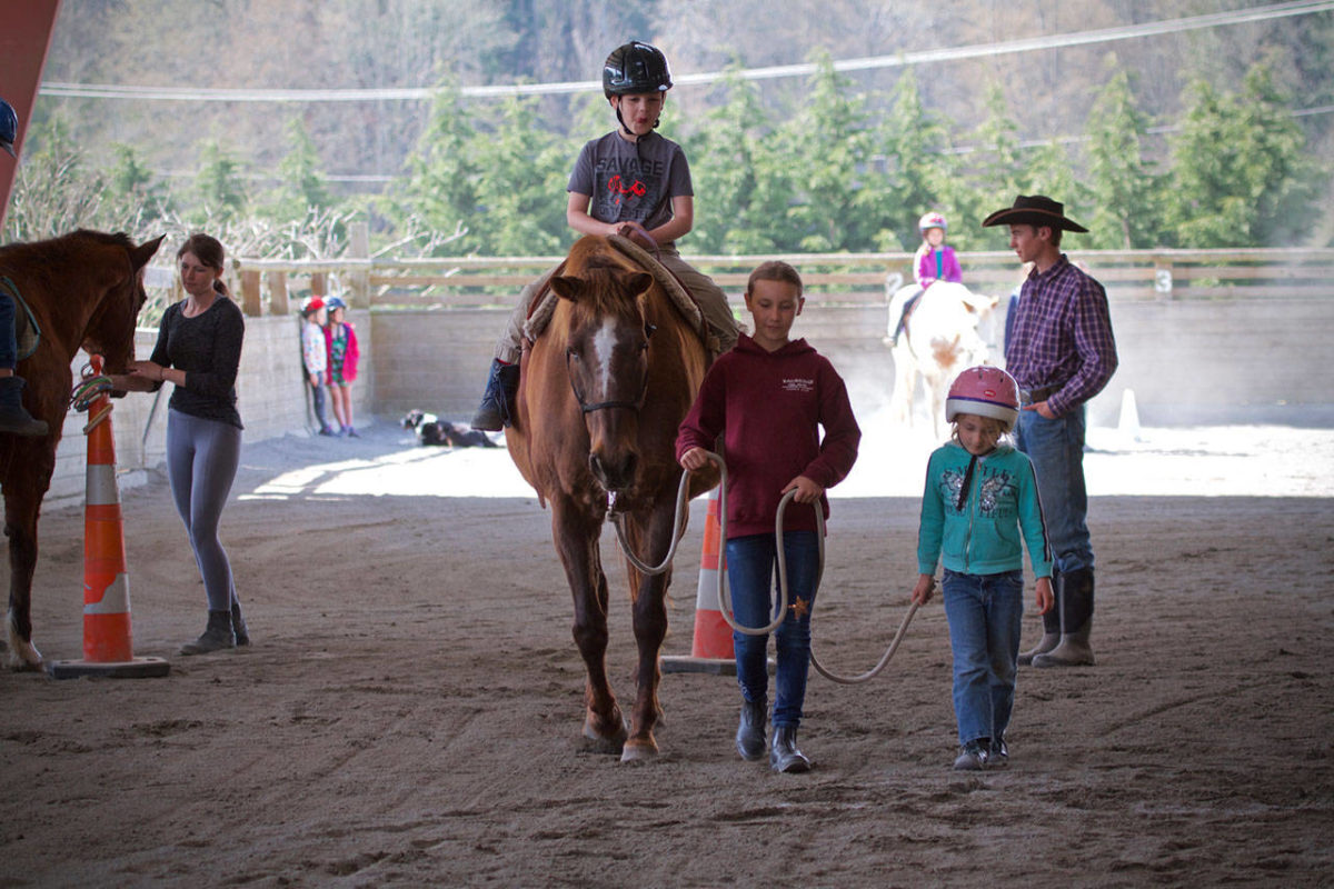 HORSEPLAY: Several organizations offer riding lessons | Peninsula Daily ...