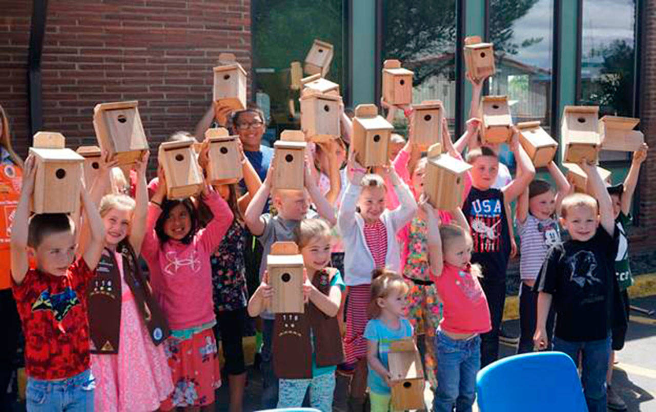 Birdhouse building starts library summer | Peninsula Daily News