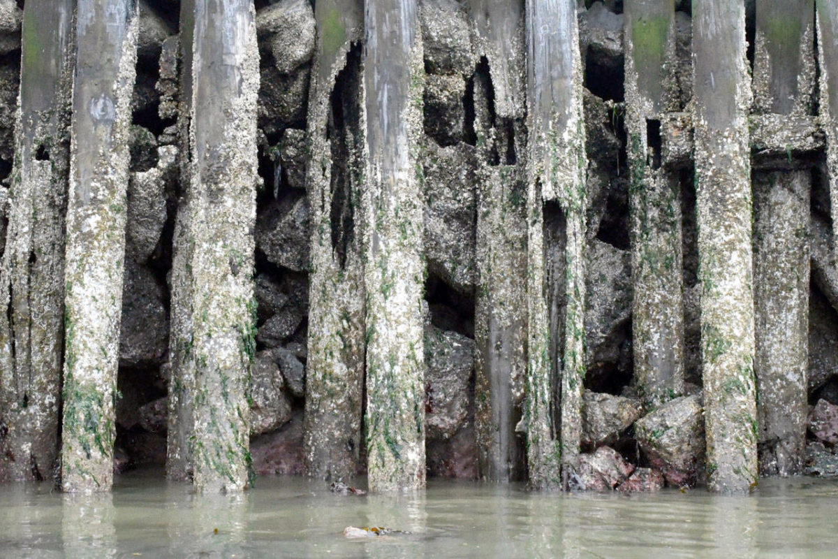 Point Hudson jetty project gets forward momentum | Peninsula Daily News