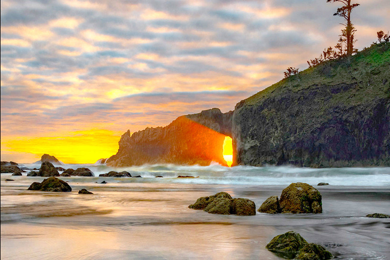 Environmental expressions featured at exhibit | Peninsula Daily News