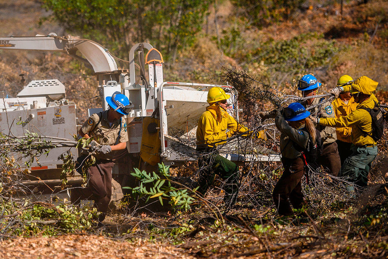 US agency to pay for 11,000 miles of fuel breaks in 6 states ...