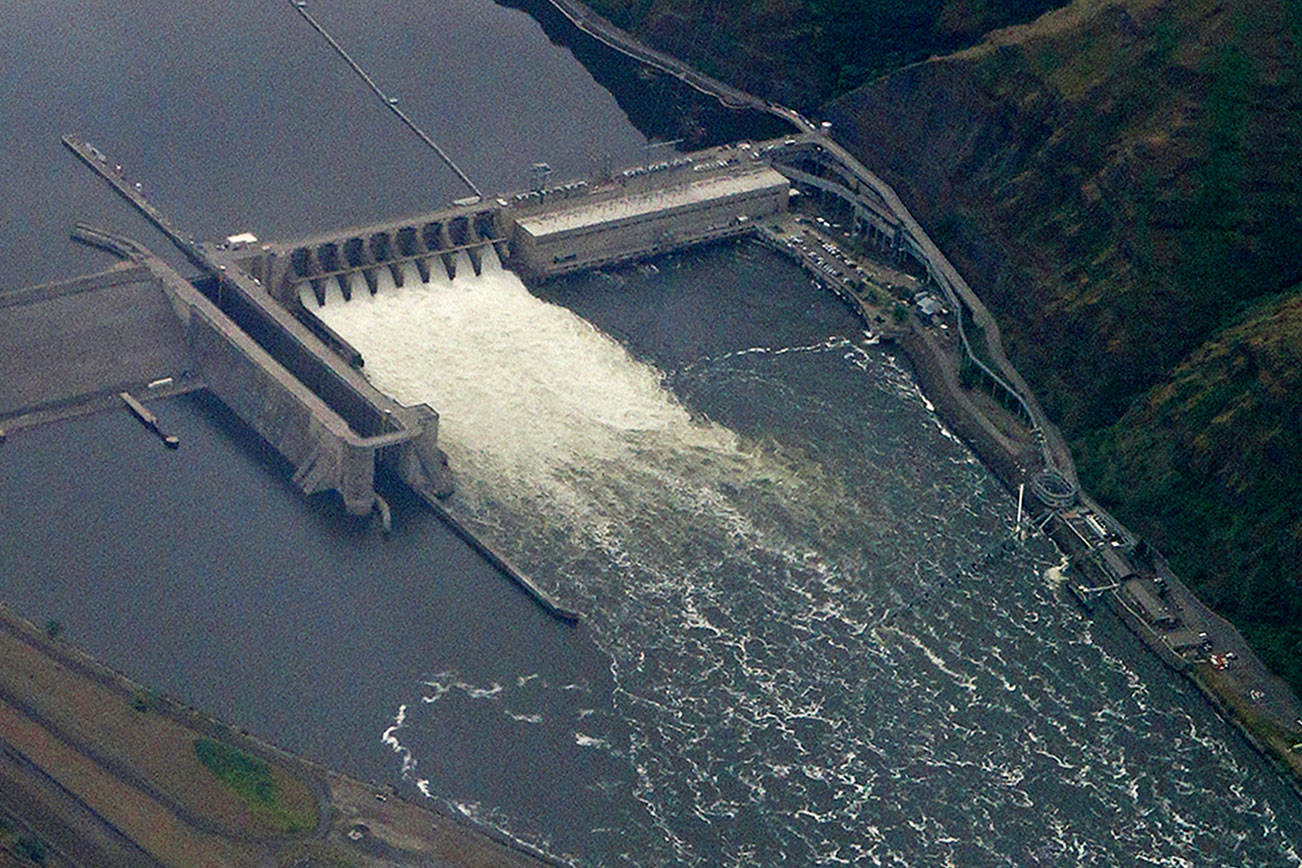 US: Snake River dams will not be removed to save salmon | Peninsula ...