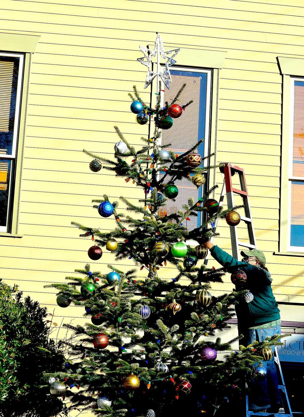 Port Townsend tree lighting goes virtual | Peninsula Daily News