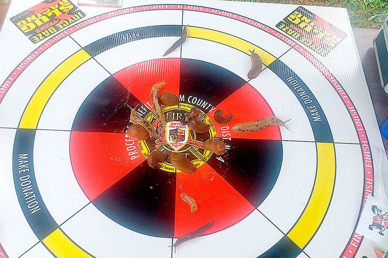 JOYCE DAZE: Turbo dominates extreme slug races | Peninsula Daily News