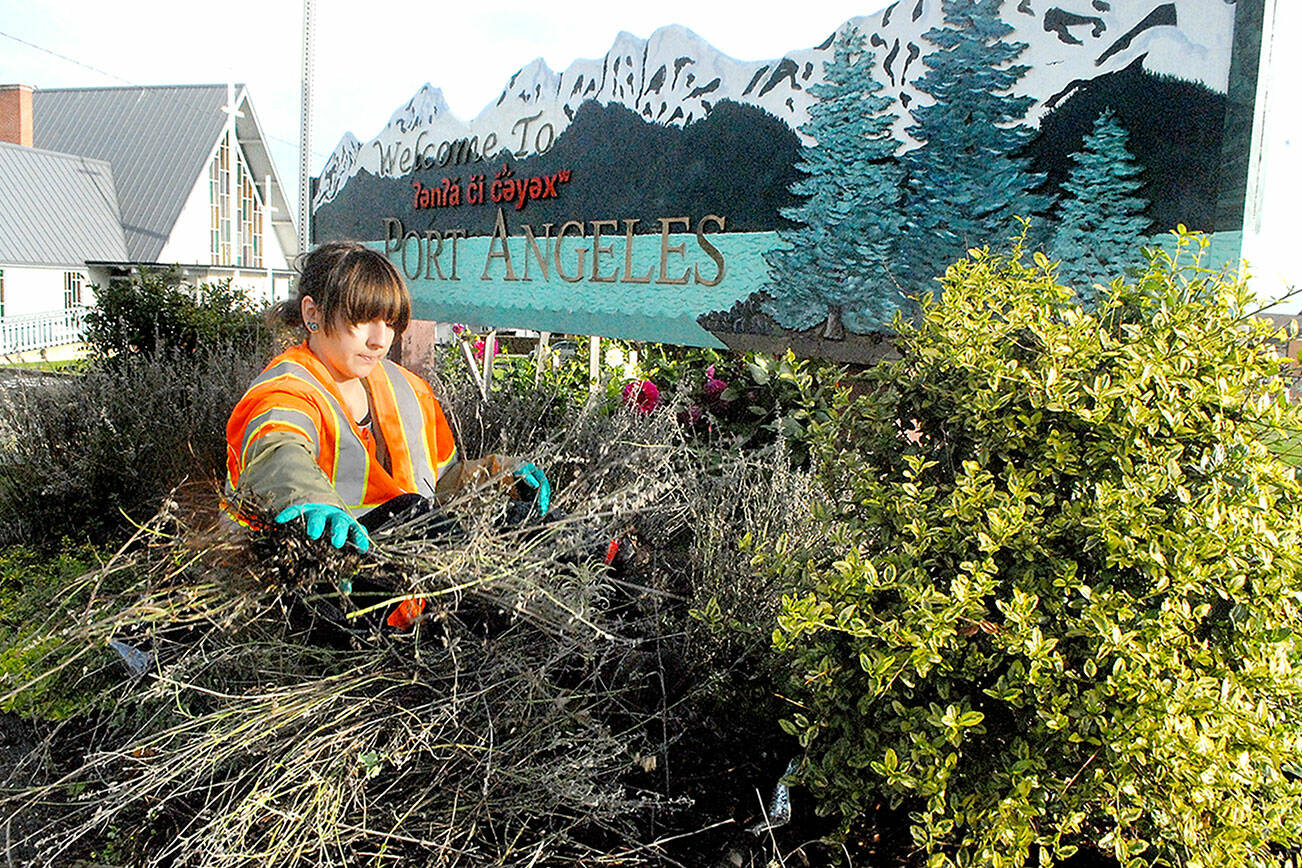 Welcome weeding at Port Angeles sign | Peninsula Daily News