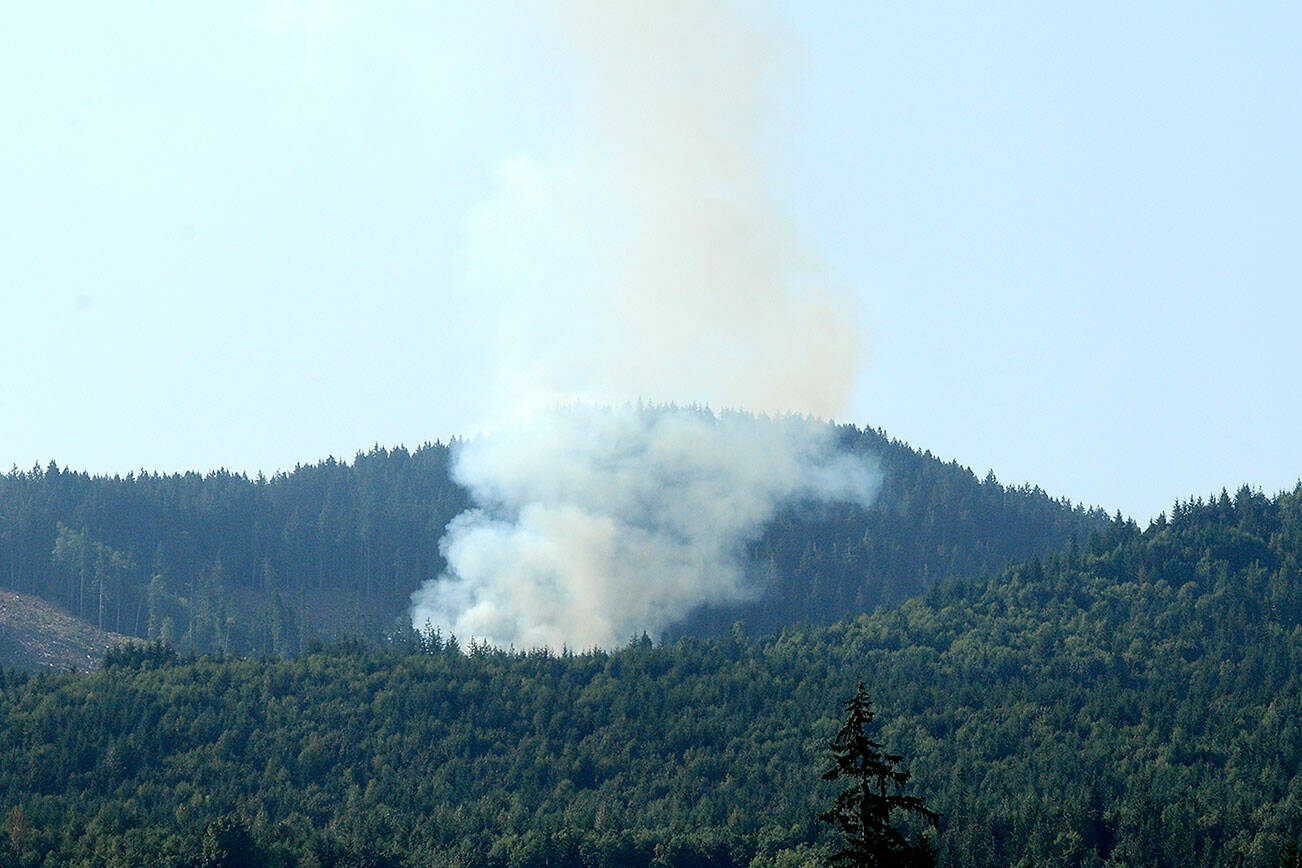 State Department of Natural Resources takes over small brush fire near ...