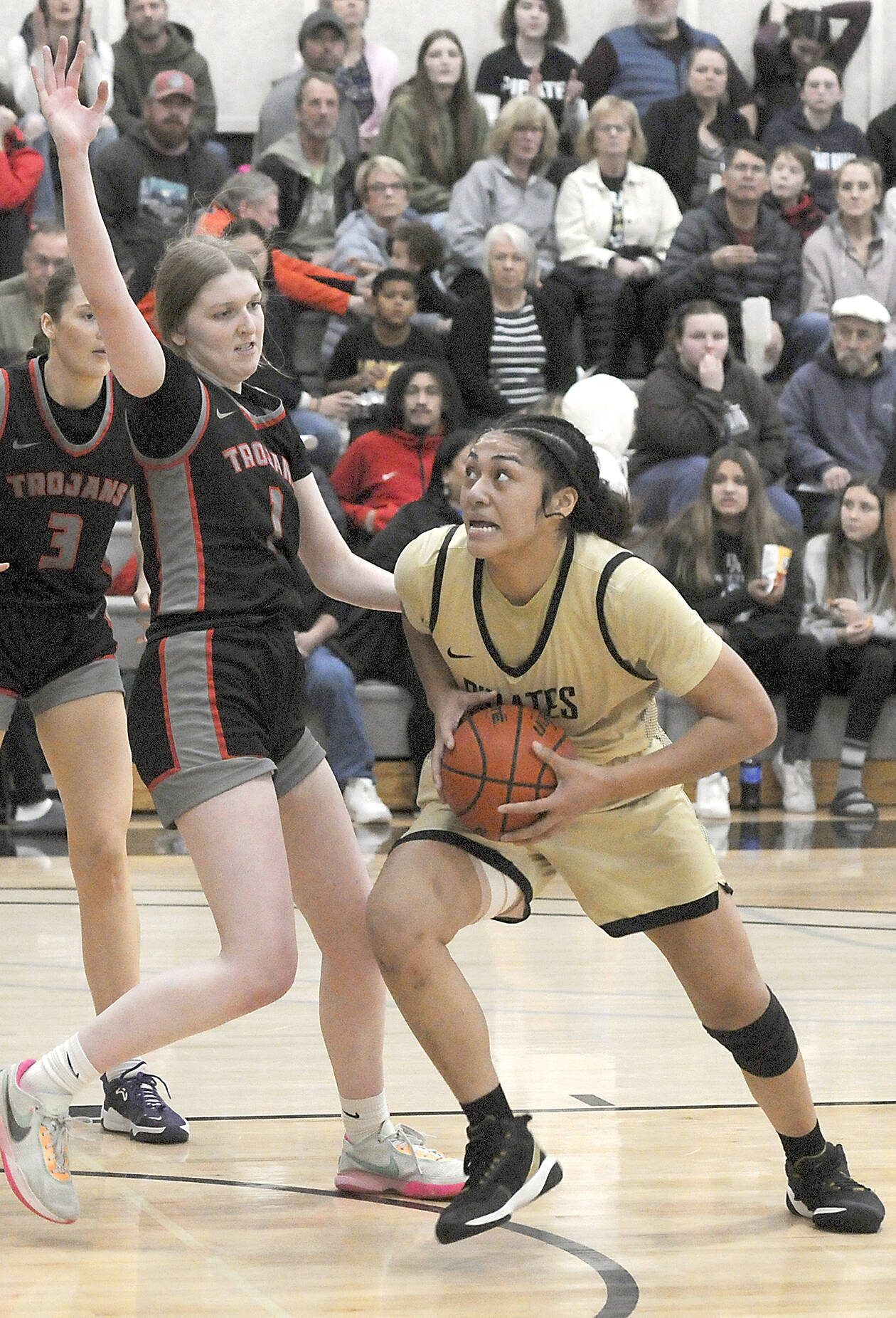 NWAC BASKETBALL TOURNAMENT: Men, women get tough brackets | Peninsula ...