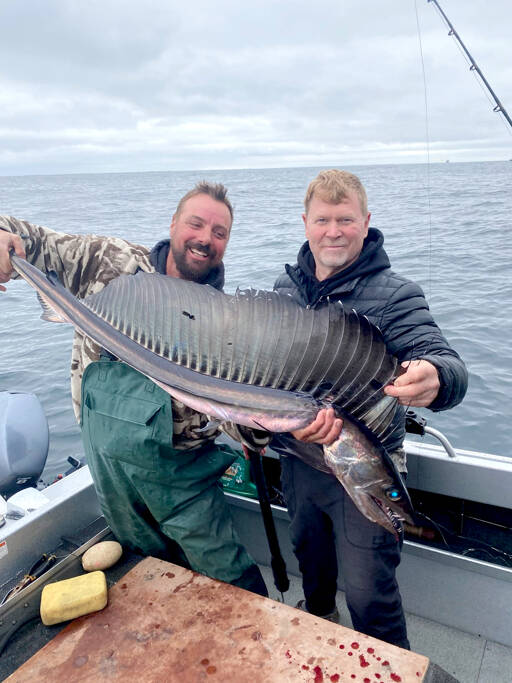 OUTDOORS: Lancetfish no stranger to area seas, shores | Peninsula Daily ...
