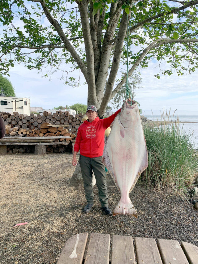 OUTDOORS: Giant halibut landed on light tackle as lingcod outing turns ...