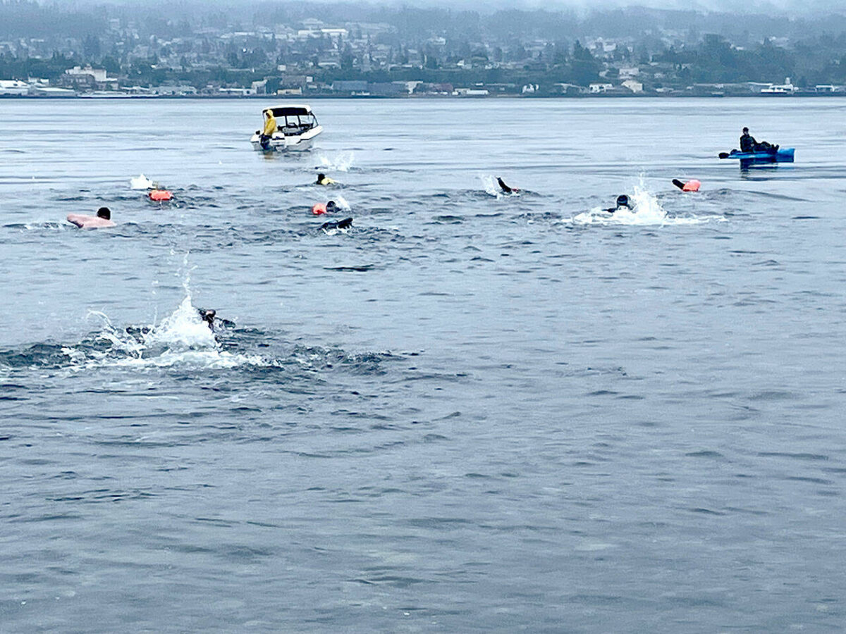 Orcas visit inaugural race in their name | Peninsula Daily News