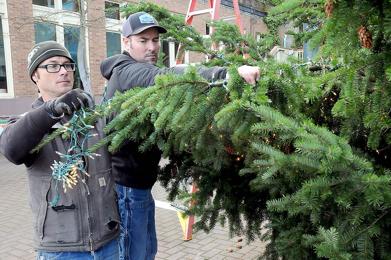 Tree lighting ceremonies, other festivities set on Peninsula ...