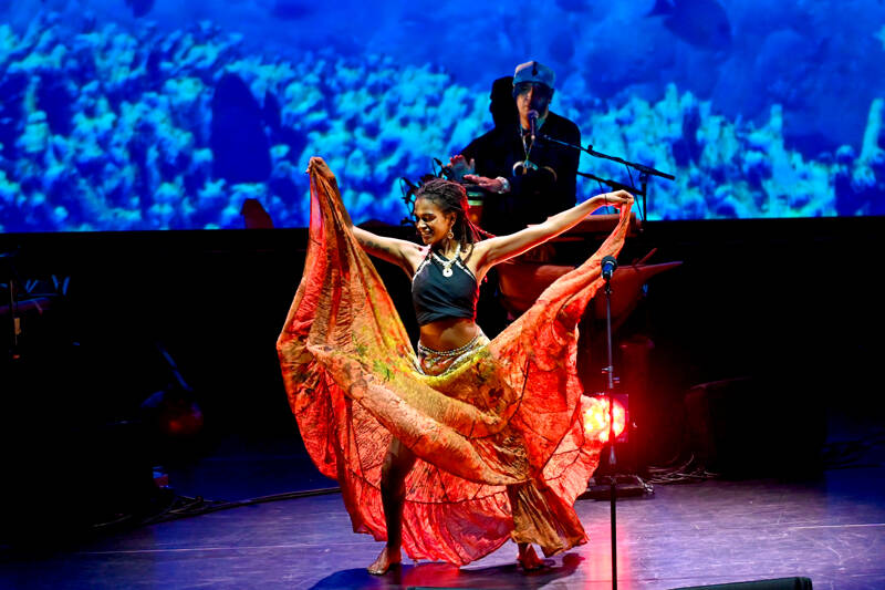 Field Hall presents Small Island Big Song’s ‘Our Island’ | Peninsula ...