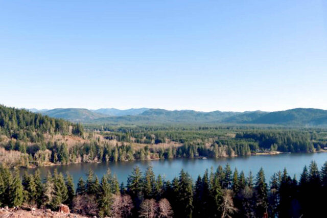 Rayonier to sell West End timberland | Peninsula Daily News