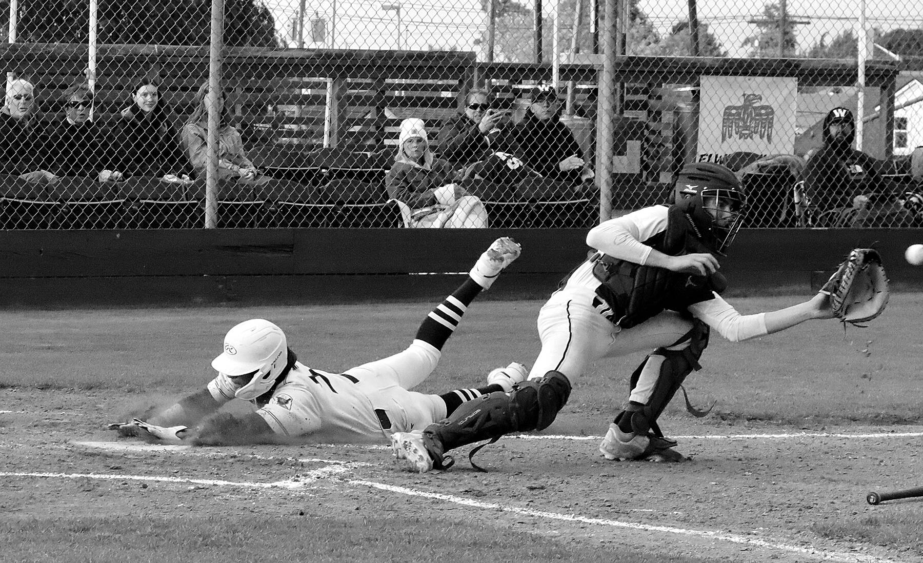 FIRECRACKER CLASSIC: Wilder Senior remains hot in 10-0 win | Peninsula ...