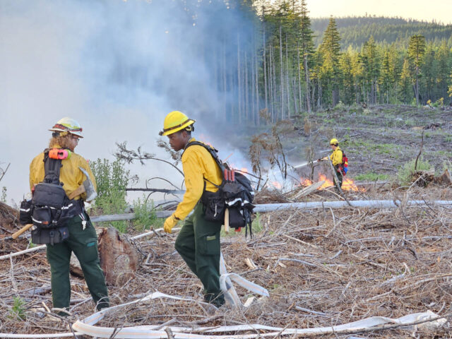UPDATE: Wildfire south of Port Angeles contained | Peninsula Daily News