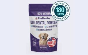 The Risks and Benefits of ProDenta: What Every Dog Owner Should Know ...