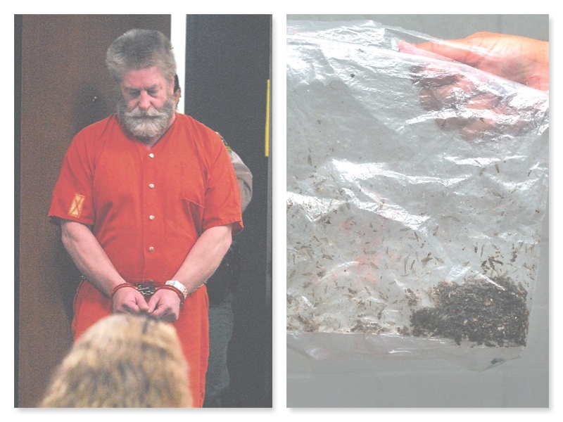 Man accused in bulldozer rampage brings show-and-tell bag of bugs into ...