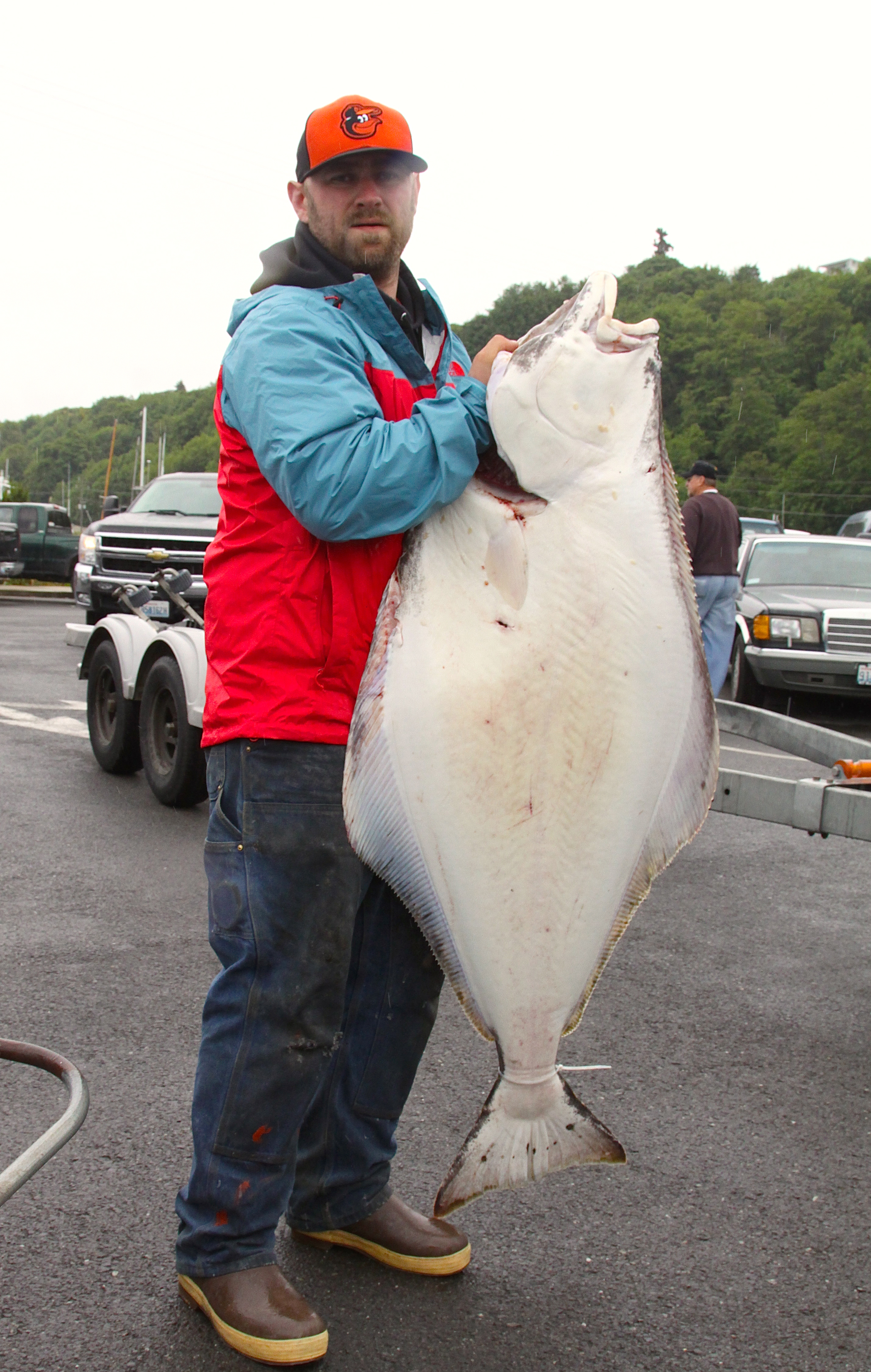 OUTDOORS: Port Angeles angler wins halibut derby with 81-pound fish ...