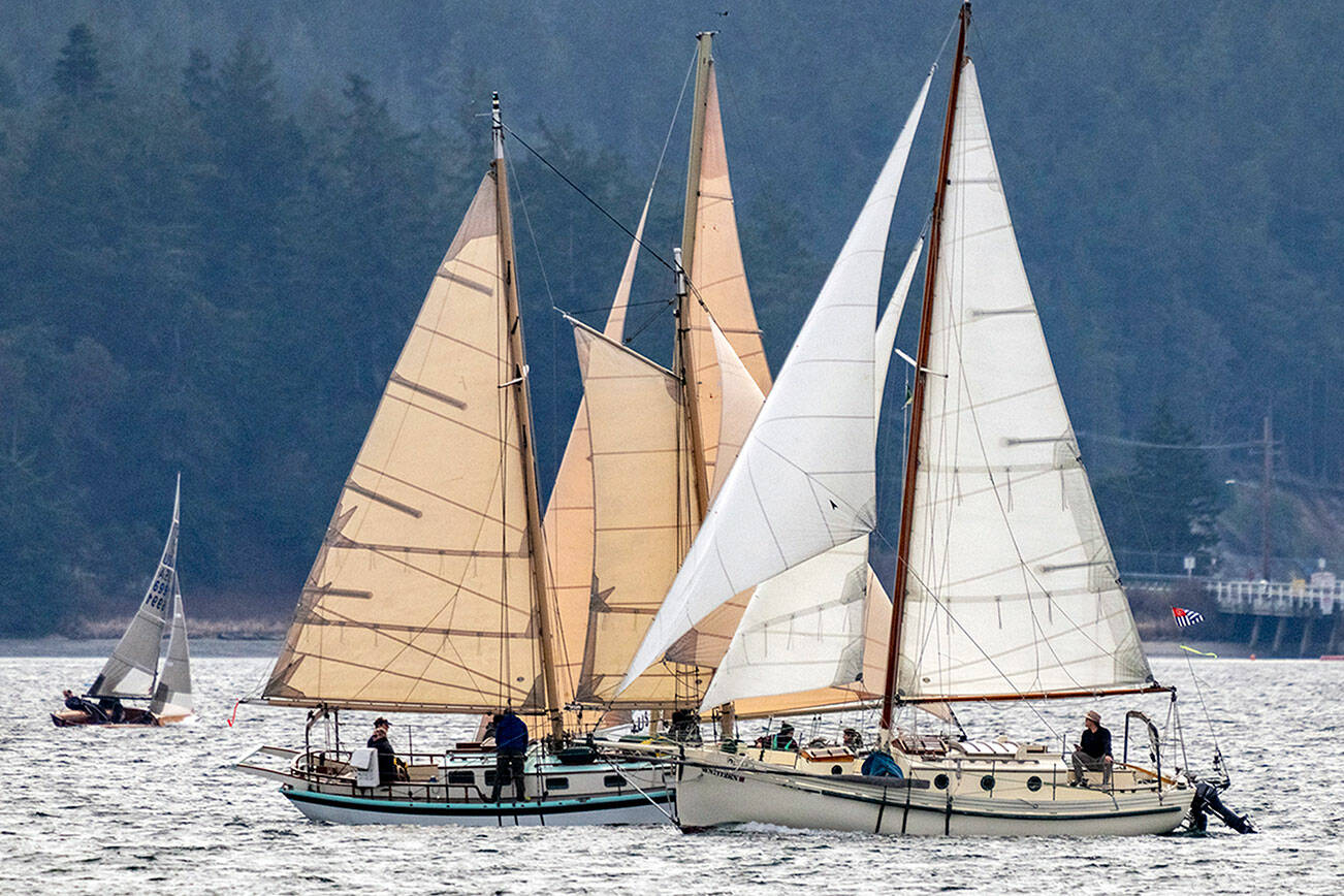 Shipwrights Regatta | Peninsula Daily News