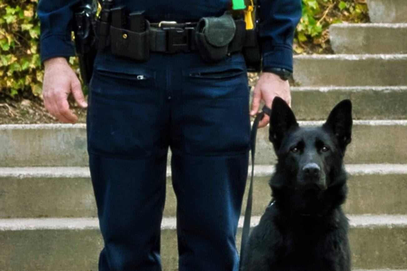 Police K9 exhibit on display at Sequim Civic Center | Peninsula Daily News