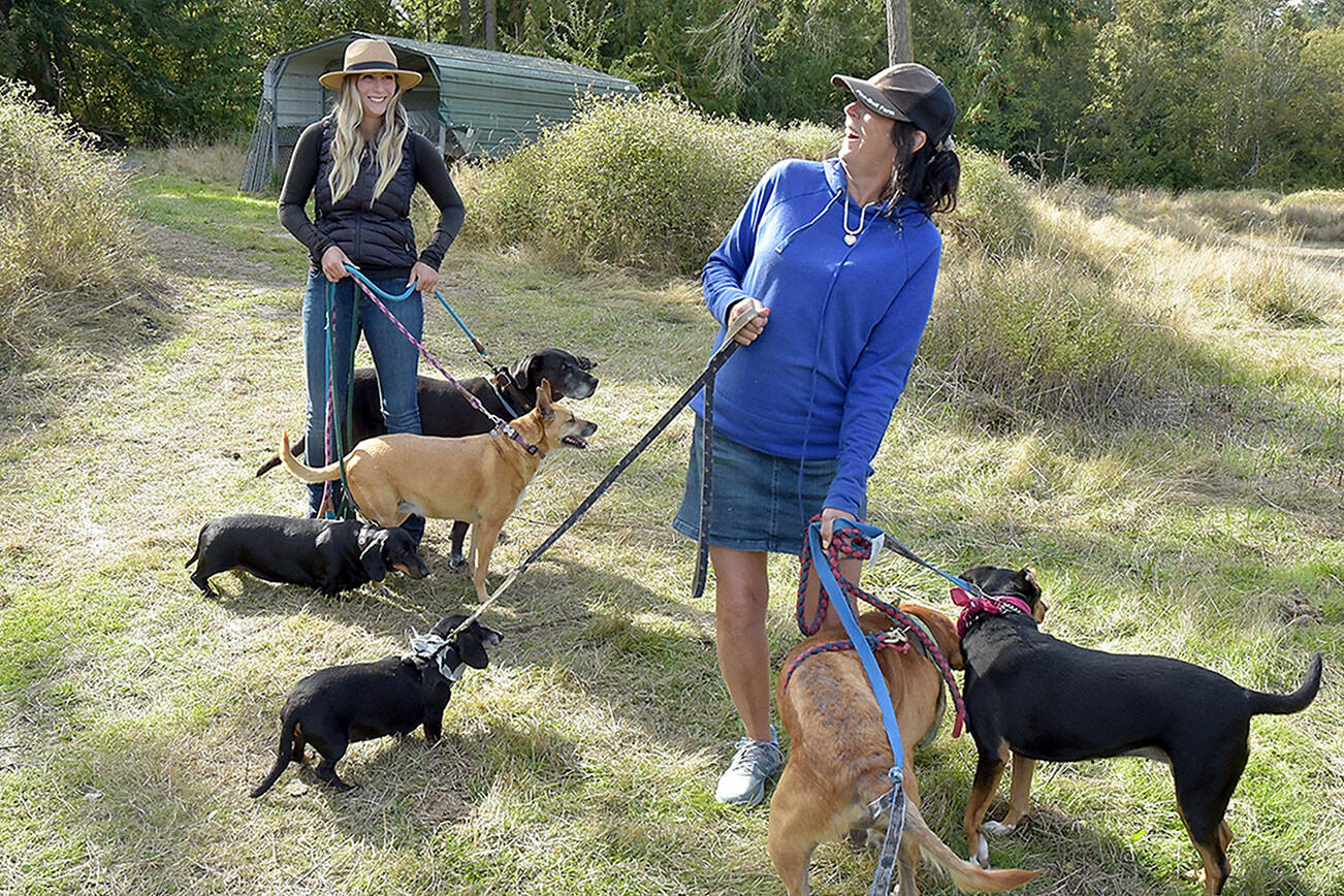 Fox-Bell Humane Society transforming property | Peninsula Daily News