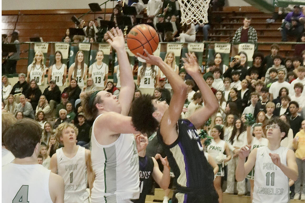 BOYS BASKETBALL: Wolves pull away from Riders down the stretch ...
