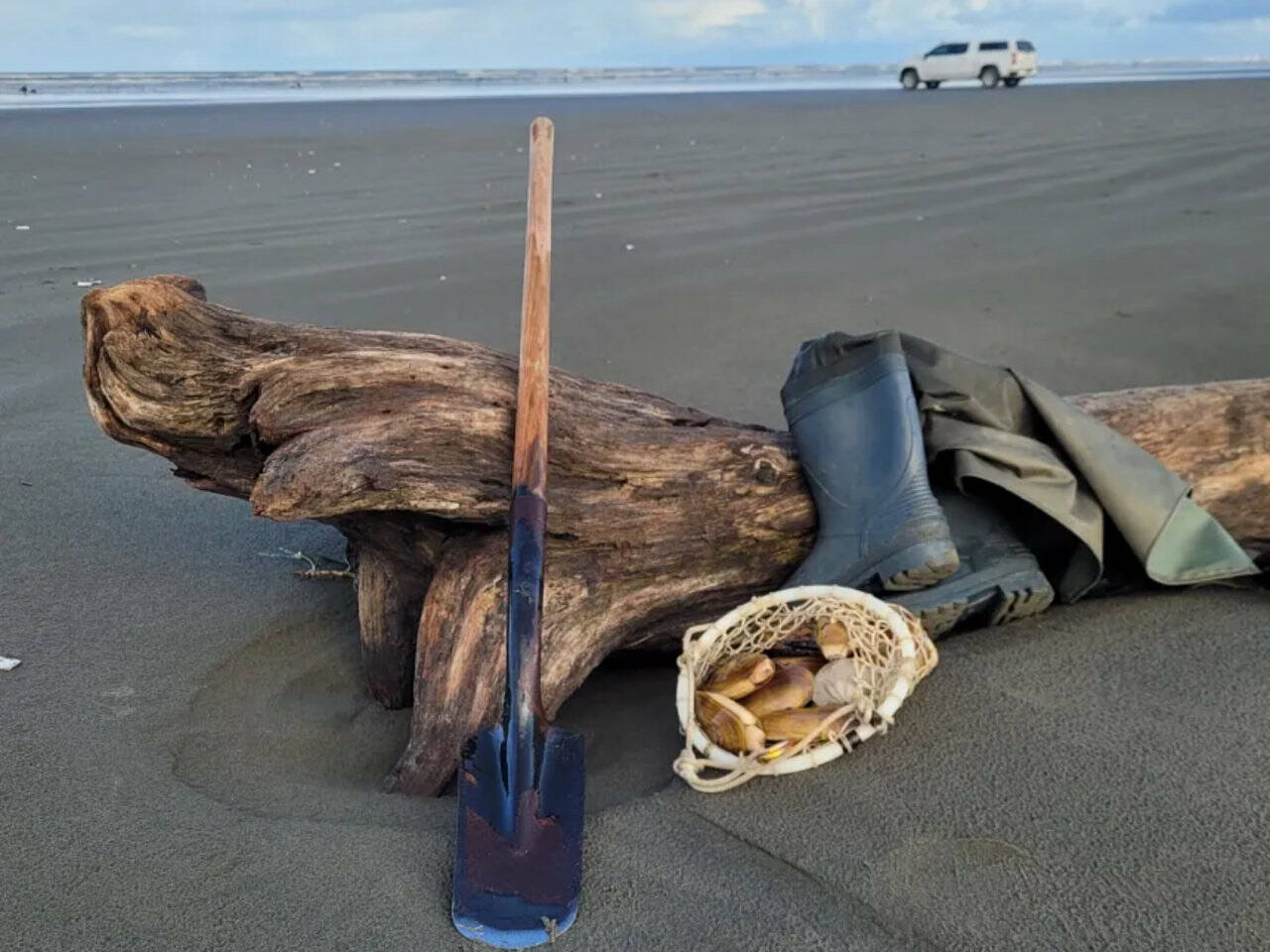 OUTDOORS: WDFW approves coastal razor clam digs beginning today ...