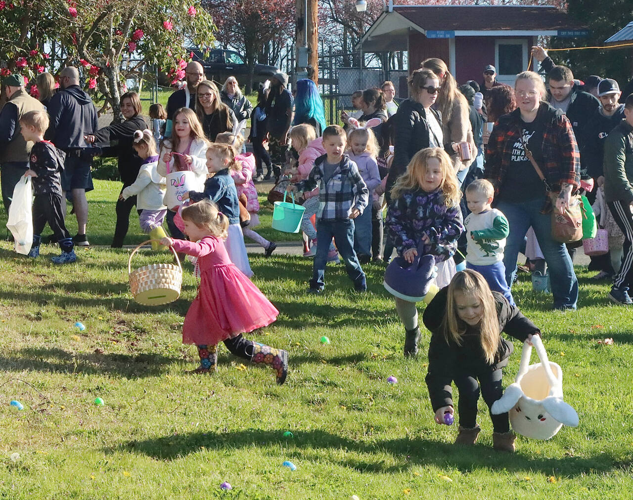 On the hunt | Peninsula Daily News